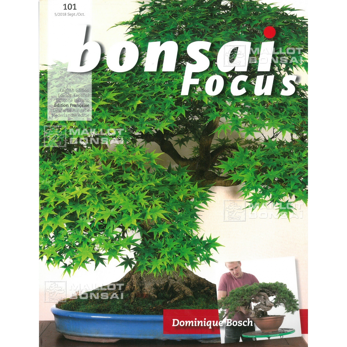magazine Bonsai focus magazine 101 from Maillot-Bonsaï - The store ...