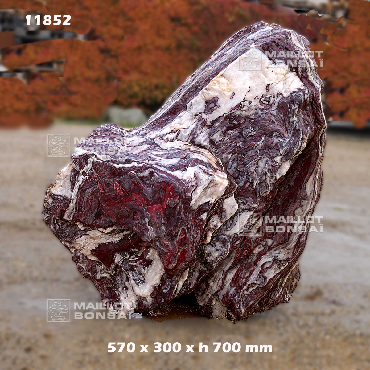 Lanternes, bassins du Japon VENDU Roche samba N° 66-11852 de Maillot ...