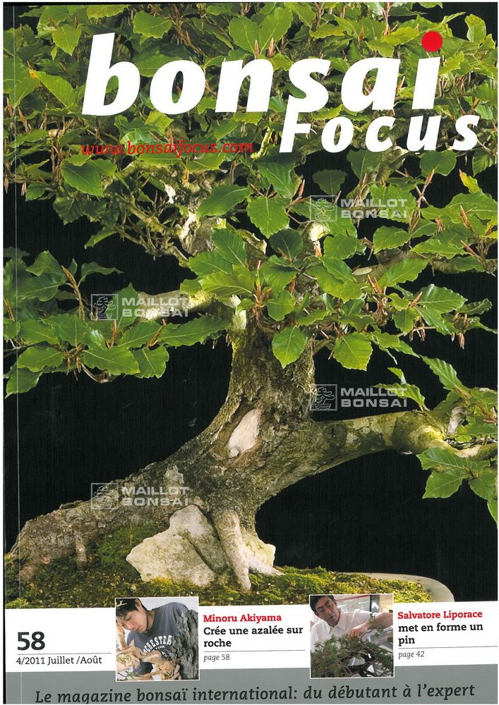magazine BONSAI FOCUS N° 58 from Maillot-Bonsaï - The store MAILLOT-BONSAI